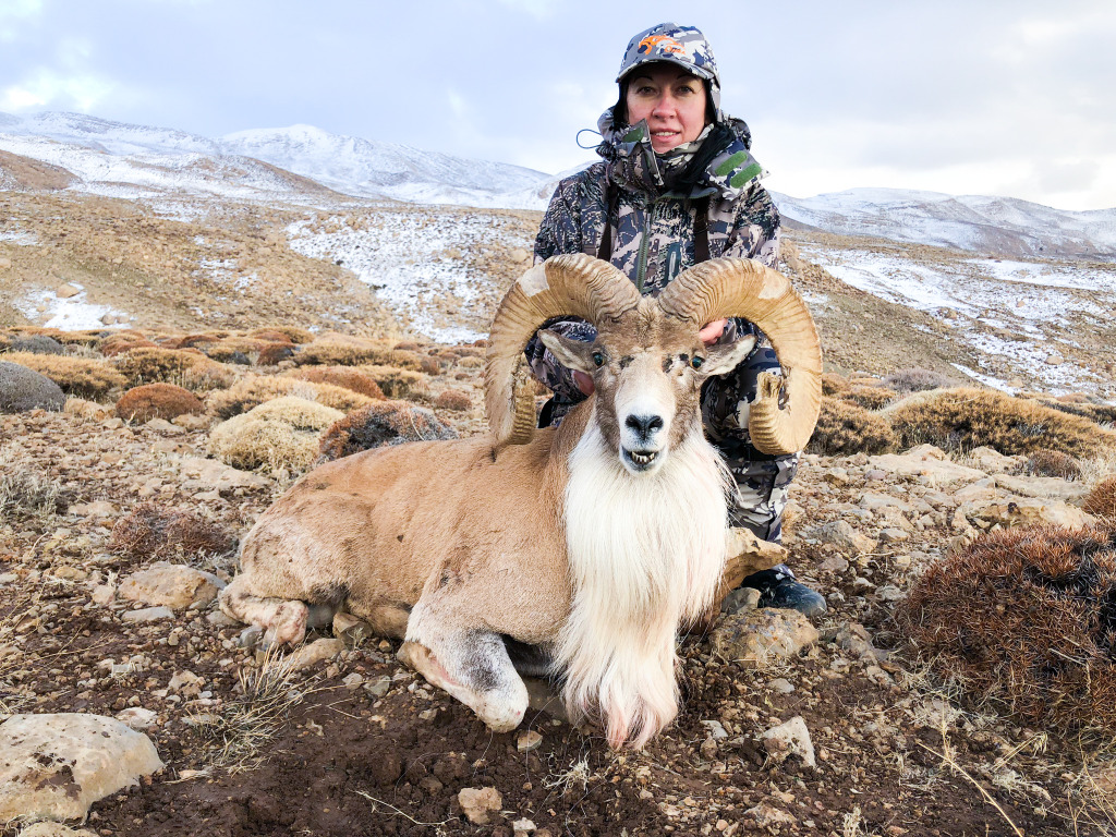 Hunting trips in Iran, best rates and professional outfitters - Stalker