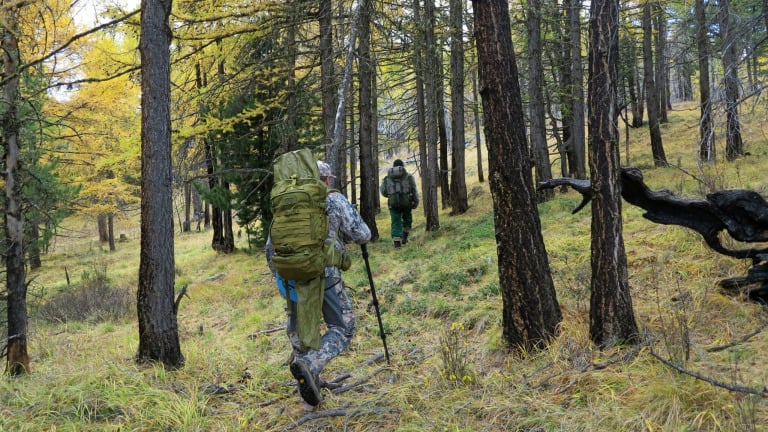 Hunting trips on Bears, best rates and professional outfitters - Stalker
