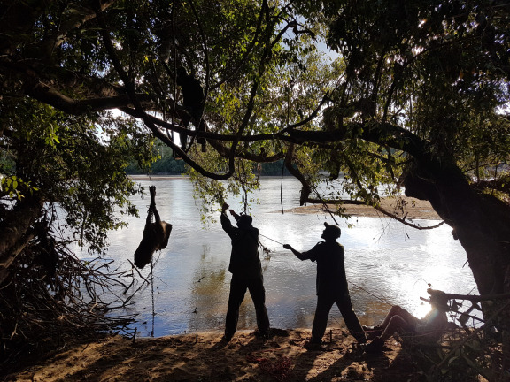 Hunting trips on Cats, best rates and professional outfitters - Stalker