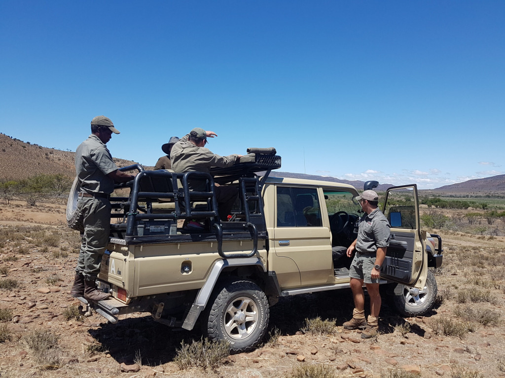 Hunting trips on Ringed-horn antelopes, best rates and professional ...