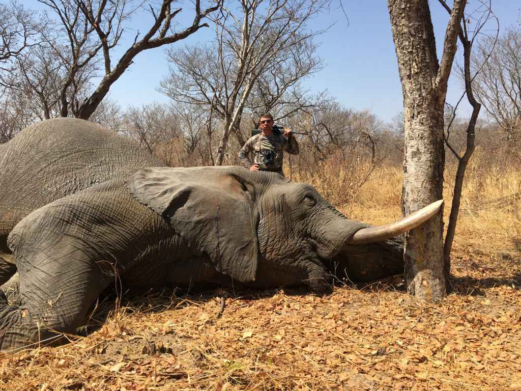 Hunting trips in Zimbabwe, best rates and professional outfitters - Stalker
