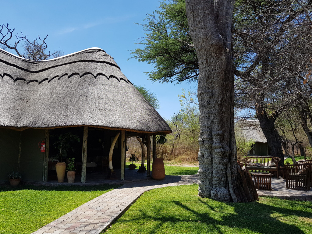 Hunting trips in Zimbabwe, best rates and professional outfitters - Stalker
