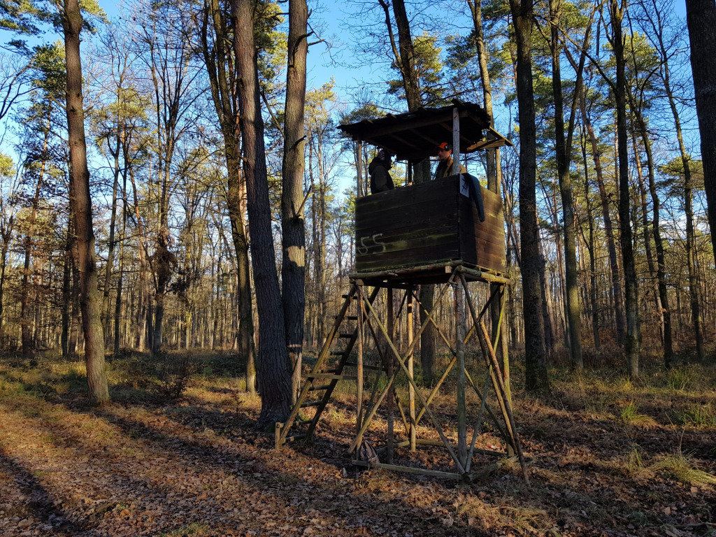 Hunting trips in Austria, best rates and professional outfitters - Stalker