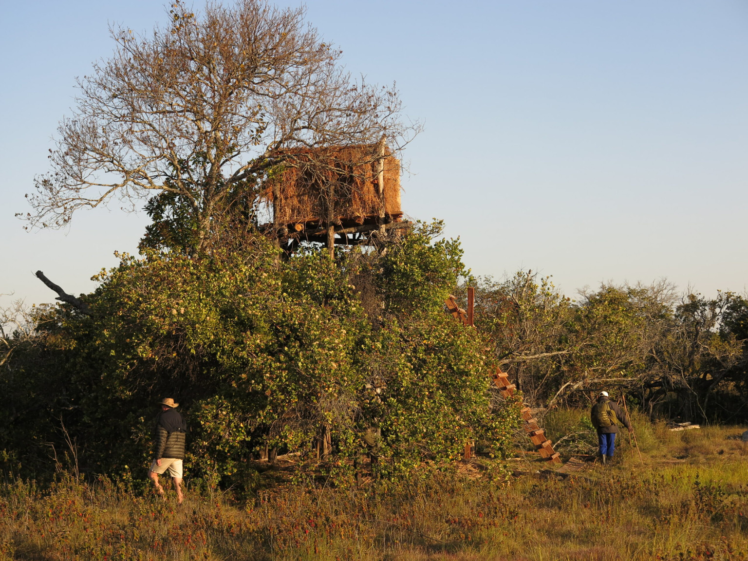 Hunting trips in Zambia, best rates and professional outfitters - Stalker