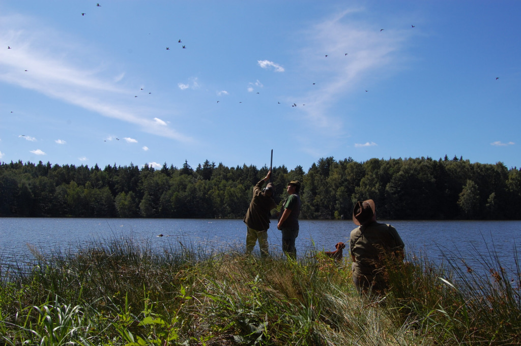 Hunting trips in Czech, best rates and professional outfitters - Stalker