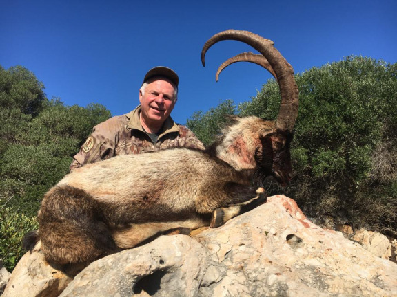 Hunting trips in Greece, best rates and professional outfitters - Stalker