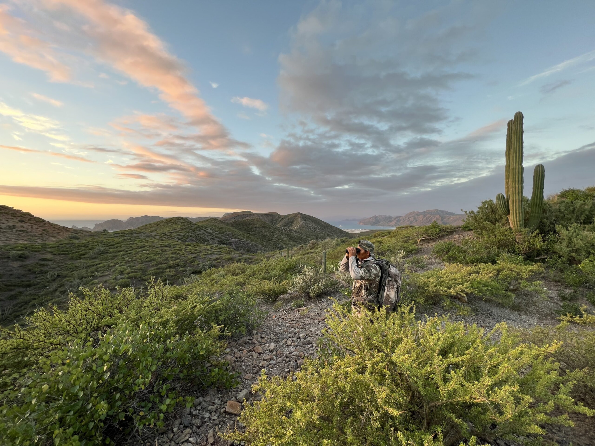 Hunting trips in Mexico, best rates and professional outfitters - Stalker