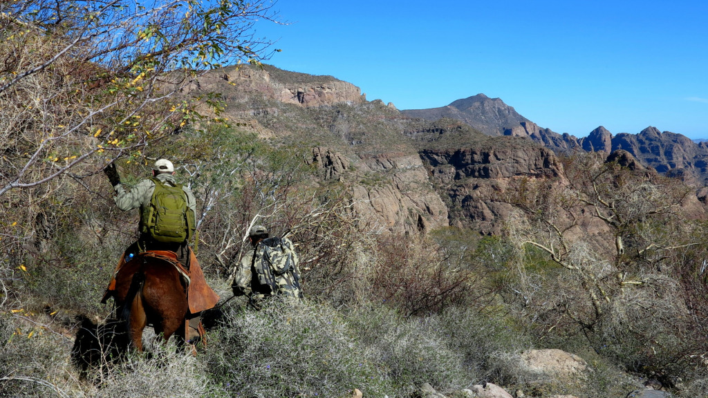 Hunting trips in Mexico, best rates and professional outfitters - Stalker
