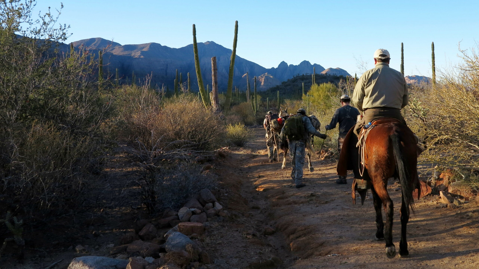 Hunting trips in Mexico, best rates and professional outfitters - Stalker