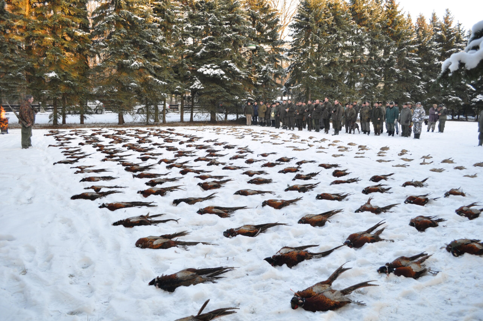 Hunting trips in Czech, best rates and professional outfitters - Stalker