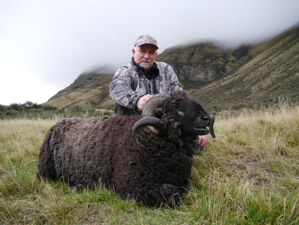 Hunting trips in New Zealand, best rates and professional outfitters ...