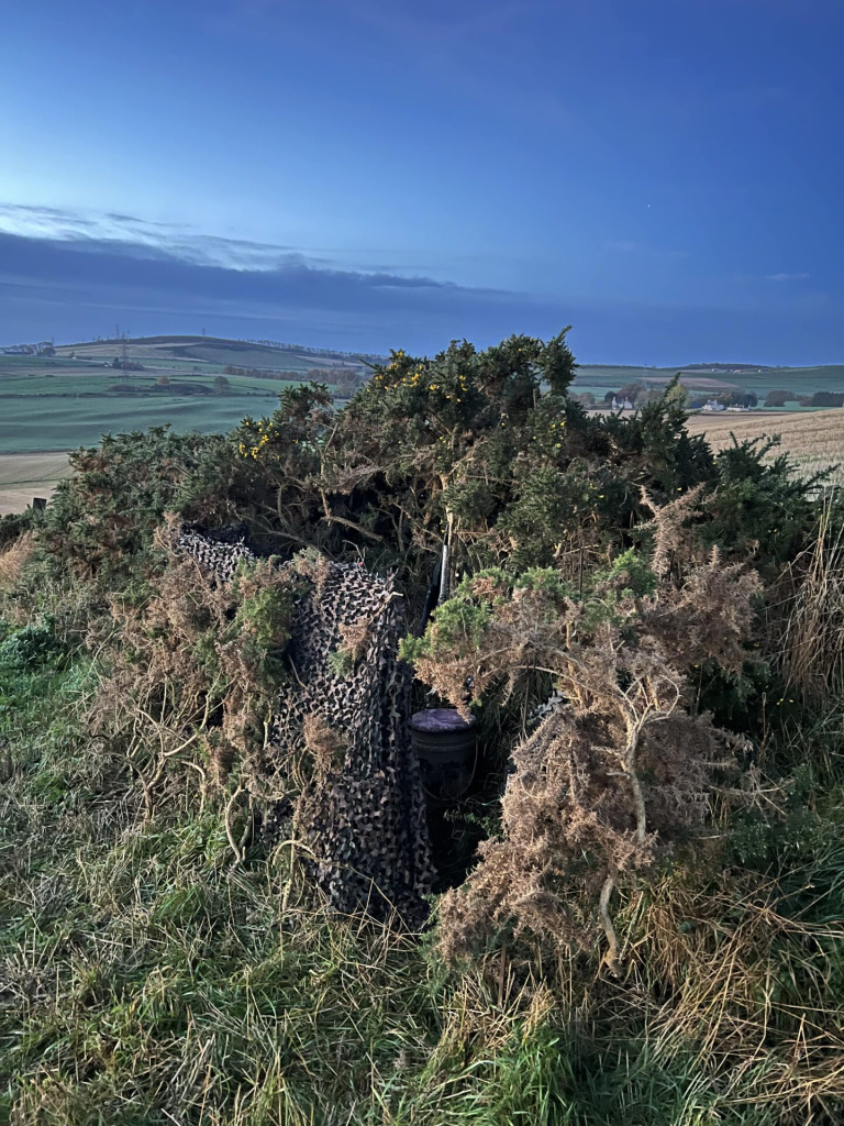 Hunting trips in Great Britain, best rates and professional outfitters ...