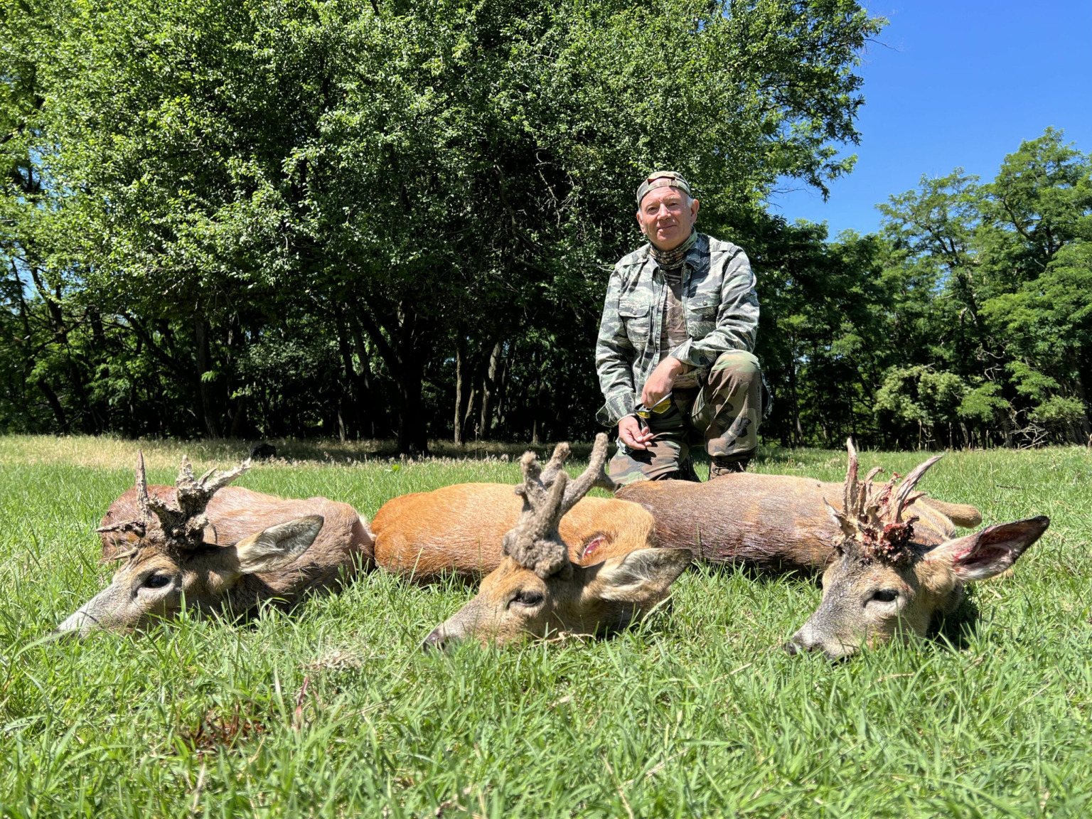 Hunting trips in Hungary, best rates and professional outfitters - Stalker