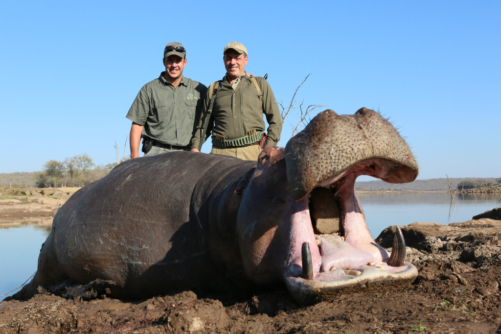 Hunting trips in Zimbabwe, best rates and professional outfitters - Stalker