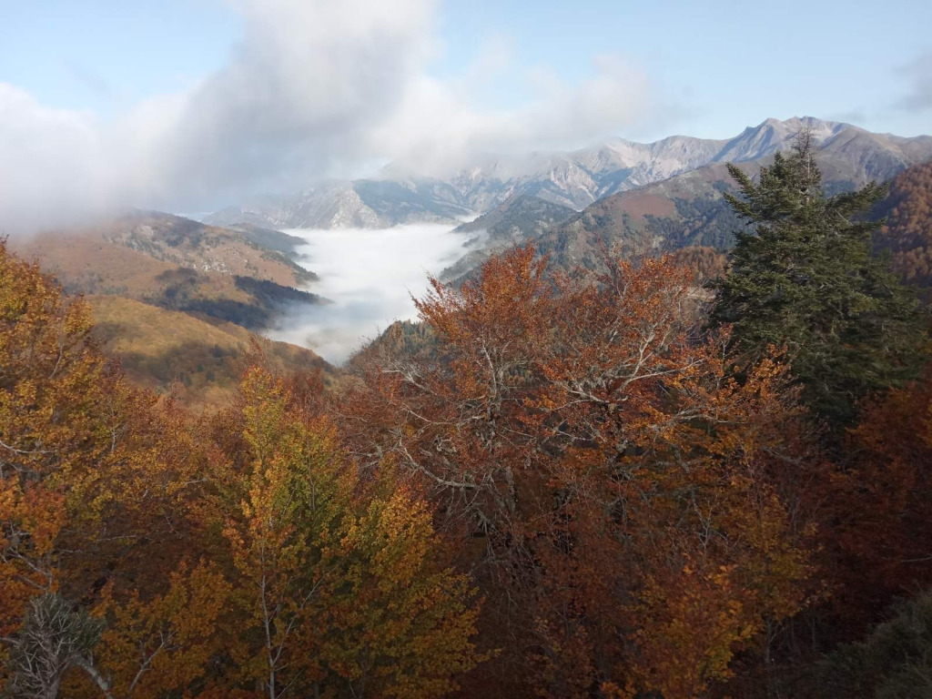 Hunting trips in Greece, best rates and professional outfitters - Stalker