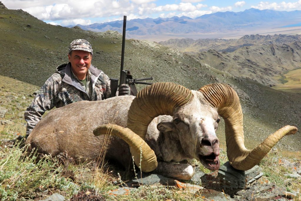 MONGOLIA NEW SPECIES - THE NORTH ALTAI ARGALI - Stalker