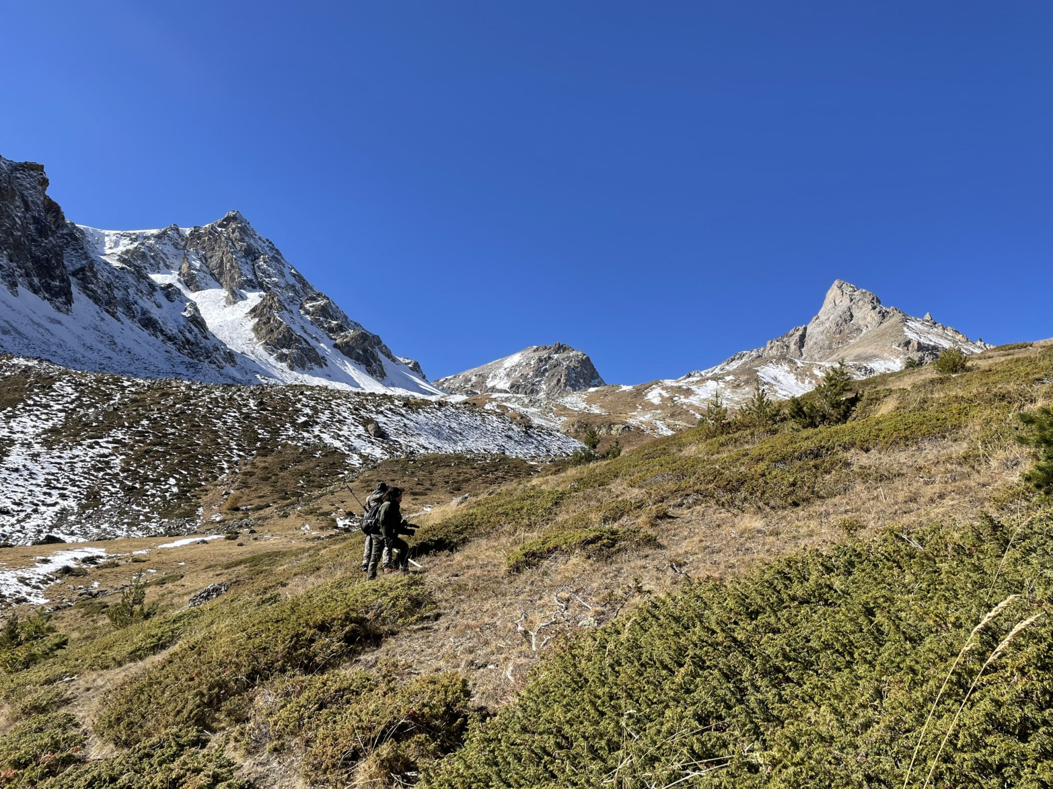 Hunting trips in Russia, best rates and professional outfitters - Stalker