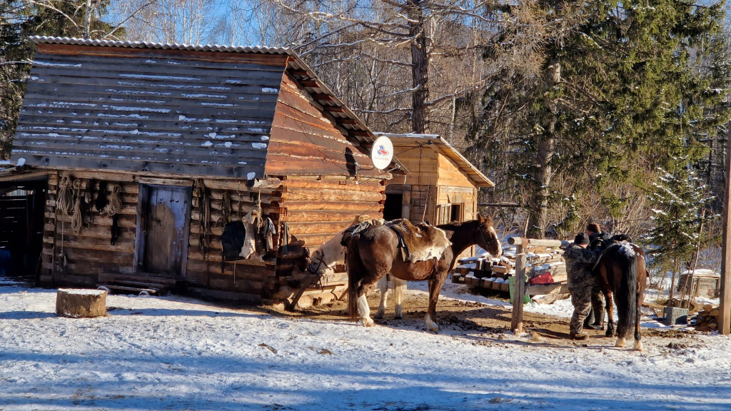 Hunting trips in Russia, best rates and professional outfitters - Stalker